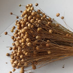 100 G Organic Flax Spray - Etsy