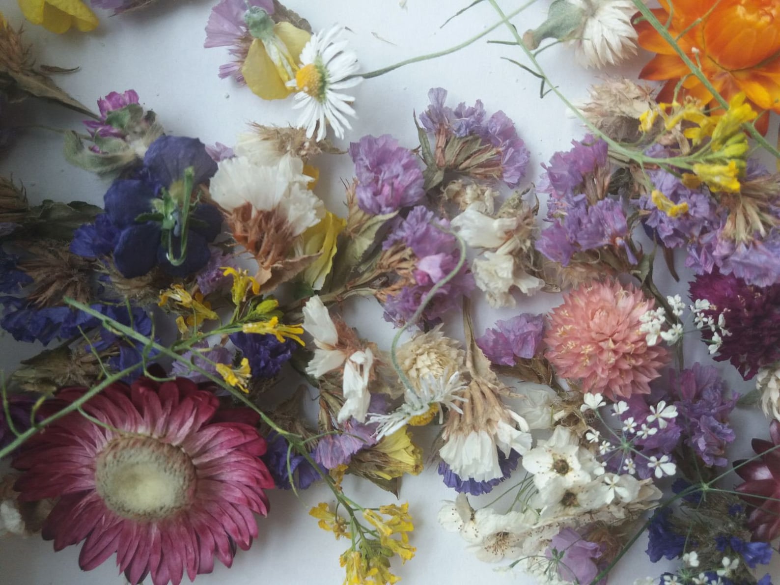 Small dried flowersMix dry flowersflowers for resinfloral | Etsy