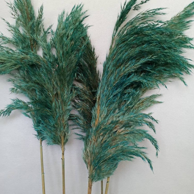 Pompous Grass - Etsy