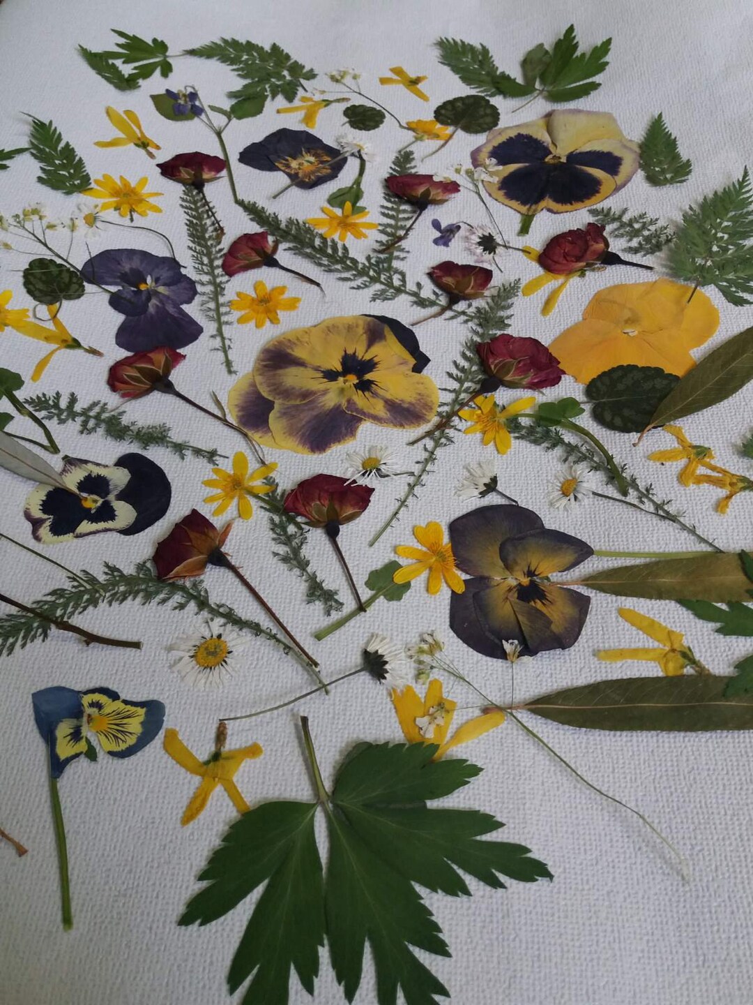 Natural Pressed Flowers,pressed Leaves,green Leaves, Pressed Mix ...