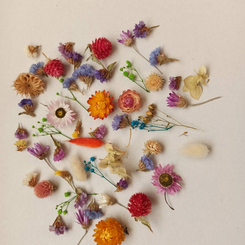 Small Dried Flowers Mix Dry Flowersflowers for Resin | Etsy