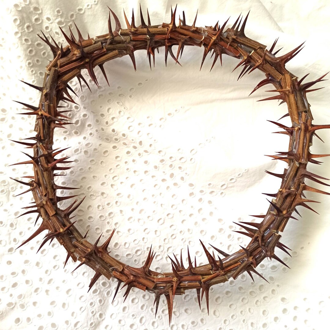 Sharp Real Thorn,jesus Christ Crown, - Etsy