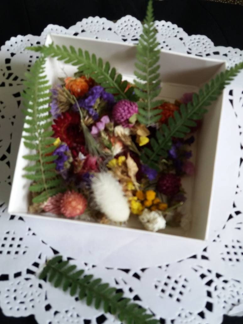 Small Dried Flowersmix Dry Flowersflowers for Resin - Etsy