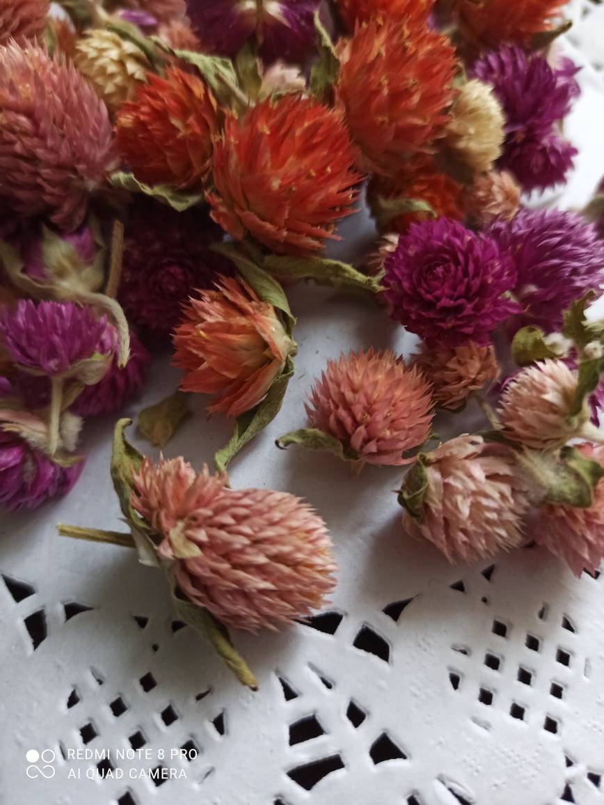 Small Dried Flowerstiny Dried Flowersresin Jewelry | Etsy