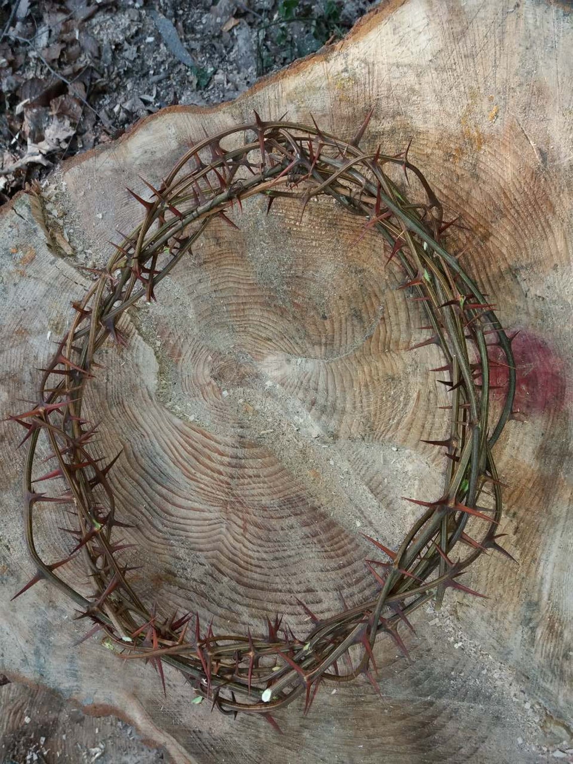 Jesus Christ Crown,sharp Real Thorn,thorns Crown Home Decor Door ...