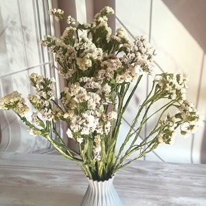 White Dried Statice,white Dried Flowers Bouquet, Pastel White Dried ...
