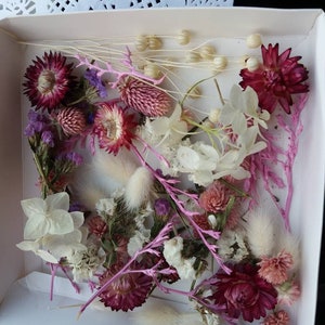 Small Dried Flowers,mix Dry Flowers,flowers for Resin Filling,floral ...