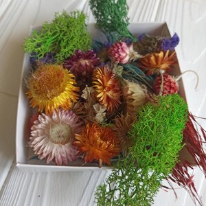 Small Dried Flowers,mix Dry Flowers,flowers for Resin,floral Decor ...