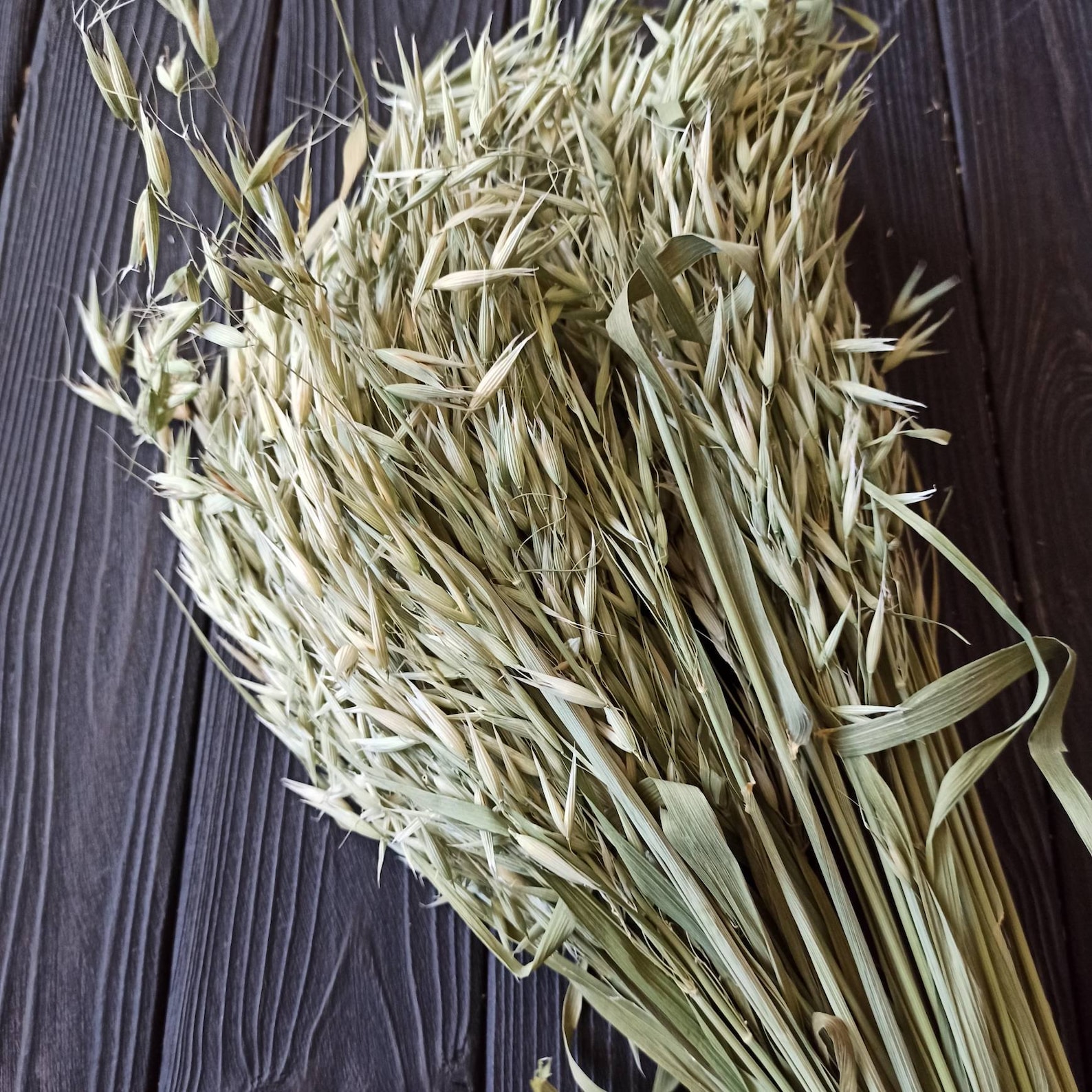 Organic Dried Oat Bundle, Hamster & Chinchilla Sprays - Etsy