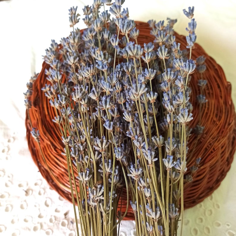 50 Dried Lavender Stems, Natural Purple Flower Bouquet - Etsy