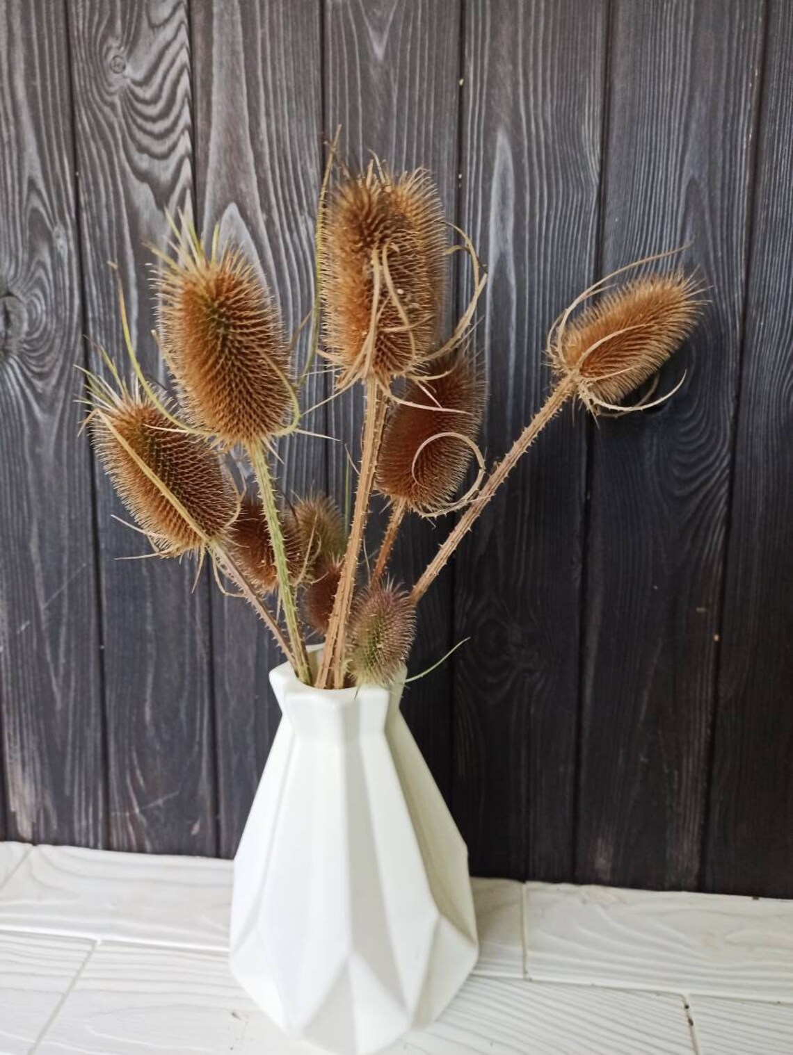 20 Stems Natural Thistle Dried Teasels Dried Thistle - Etsy