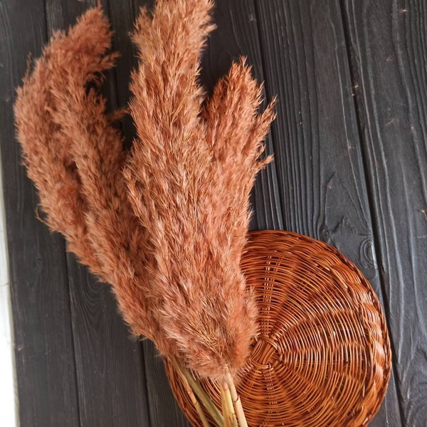 Orange Dried Grasses - Etsy
