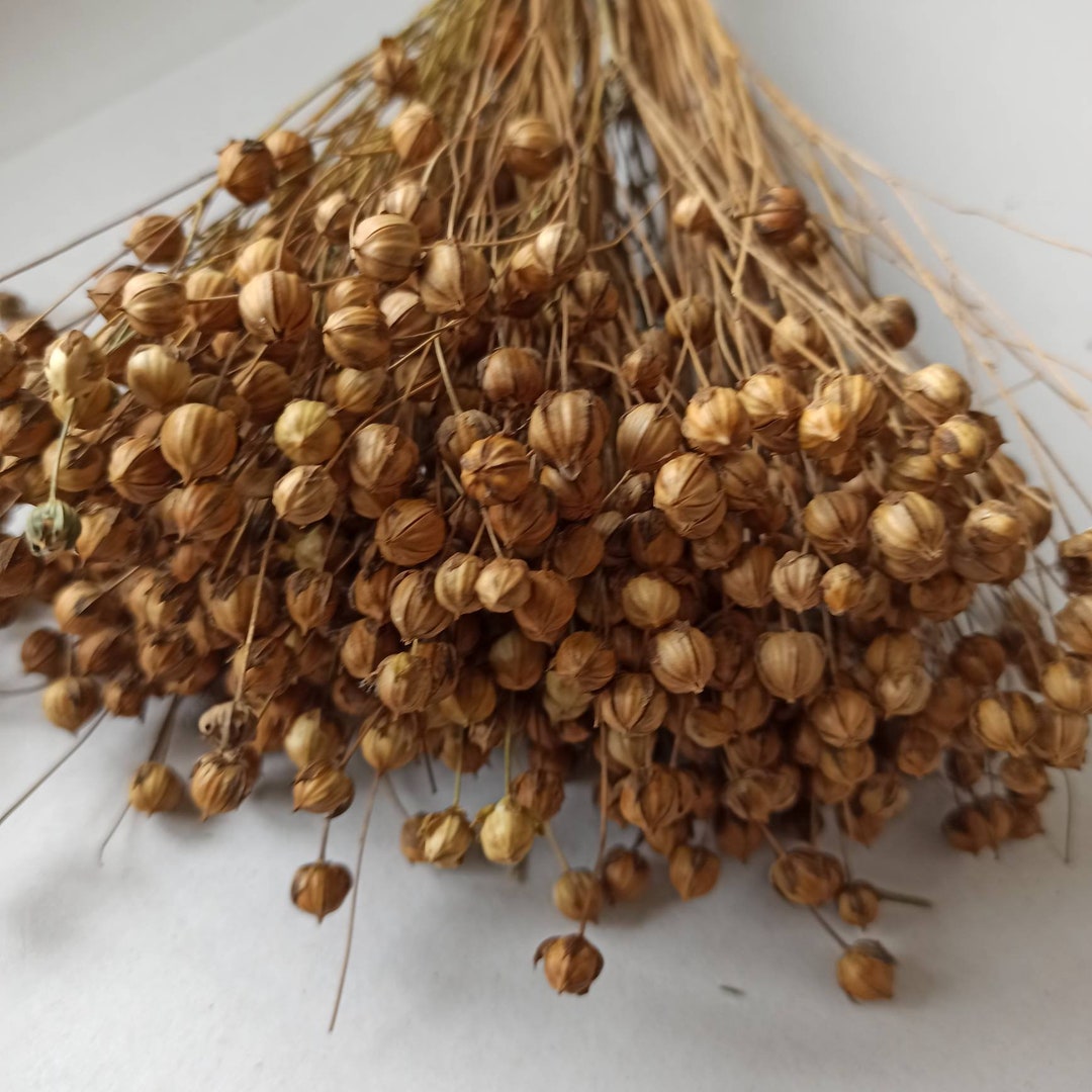 100 G Organic Flax Spray - Etsy