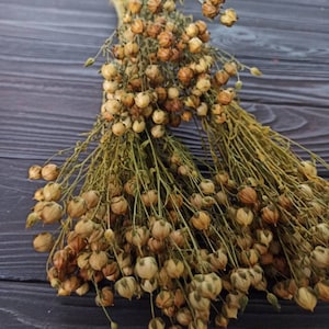 Organic Flax Spray - Etsy