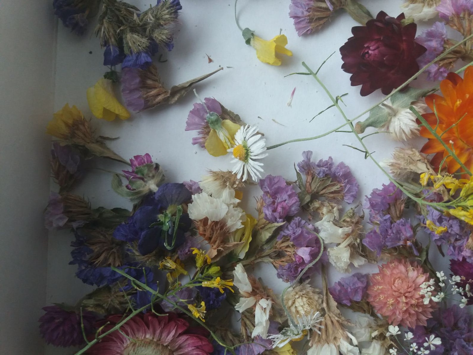 Small dried flowersMix dry flowersflowers for resinfloral | Etsy
