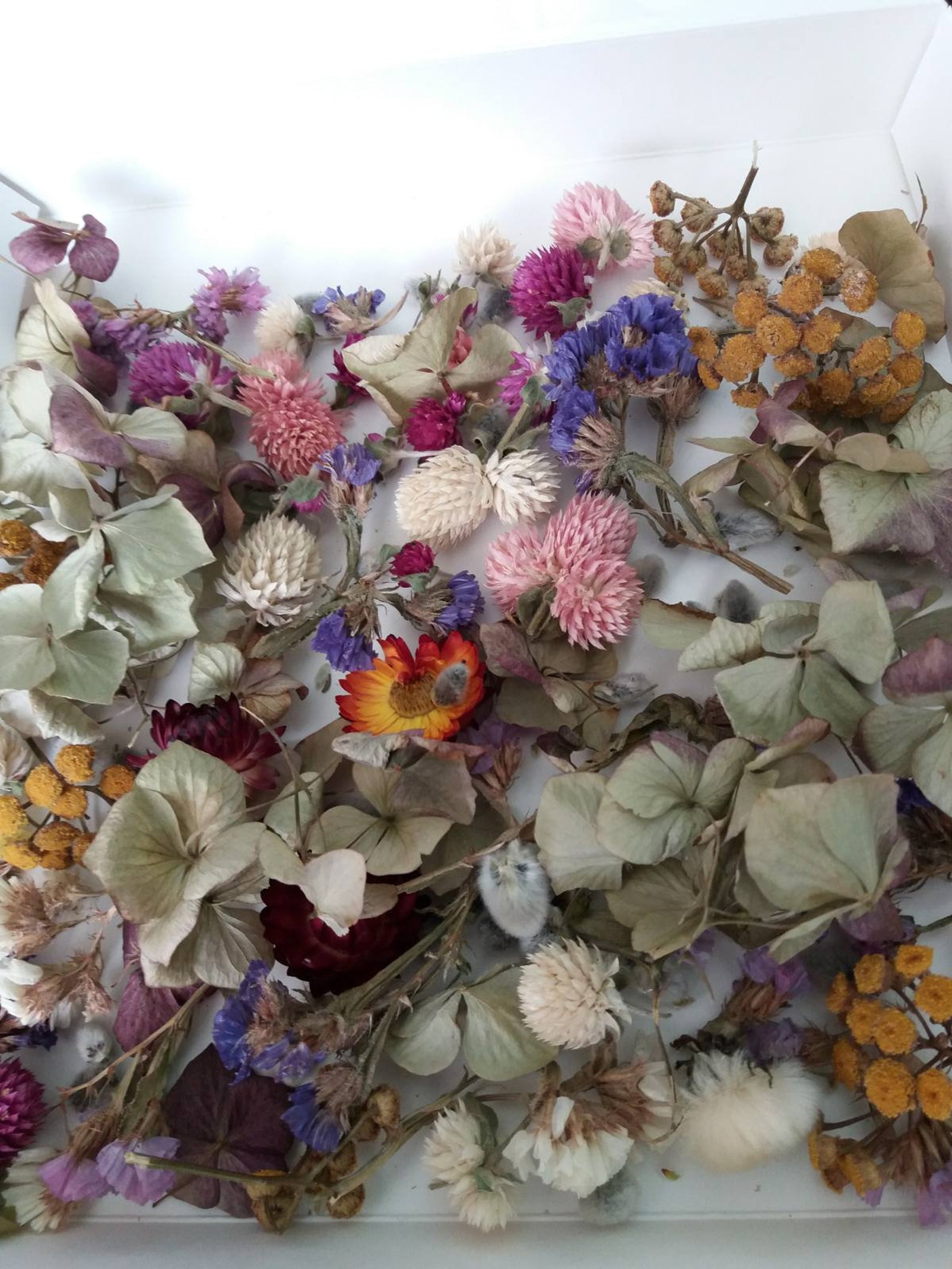 Tiny dried flowersMix dry flowersflowers for resin | Etsy