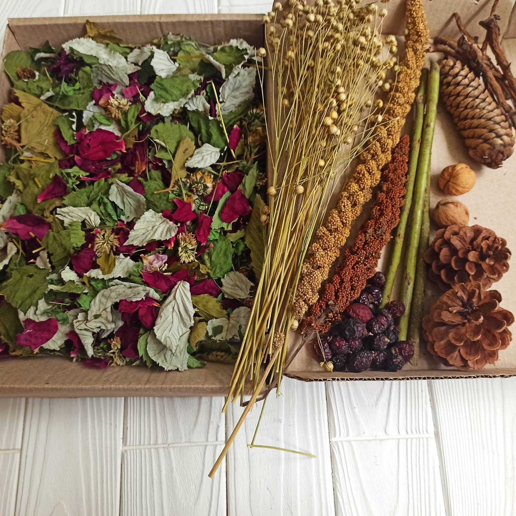 Organic Hamster Treat Box, Herbal Forage Mix, Small Pet Enrichment - Etsy