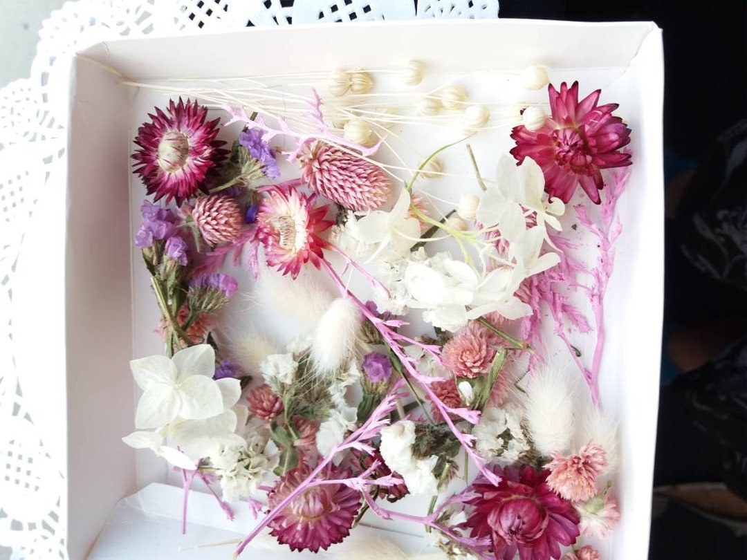 Small Dried Flowers,mix Dry Flowers,flowers for Resin Filling,floral ...