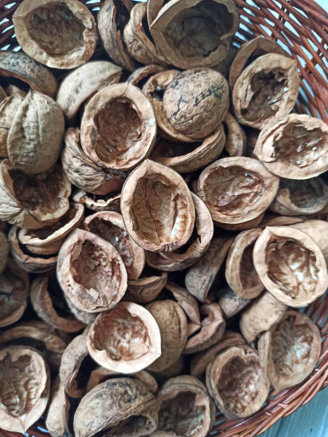 Walnut Shell Halves, Walnut Halves Creativity, Walnut Slices - Etsy