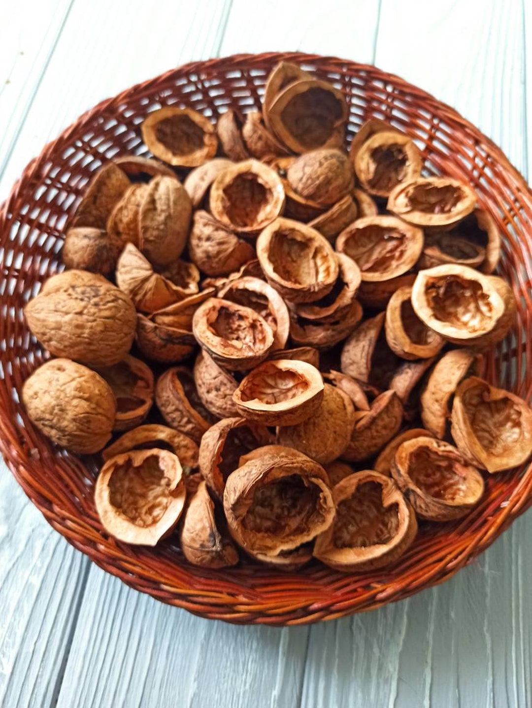 Walnut Shell Halves, Walnut Halves Creativity, Walnut Slices - Etsy