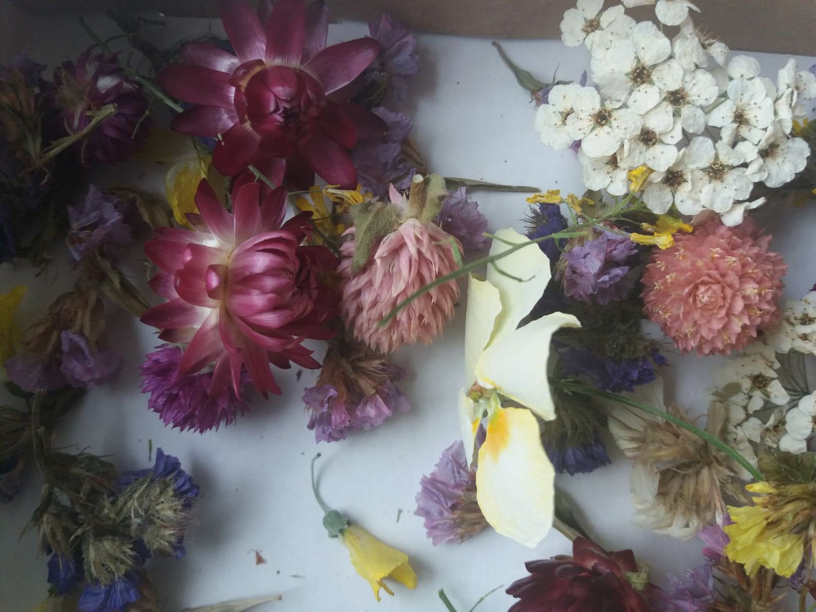 Small dried flowersMix dry flowersflowers for resinfloral | Etsy