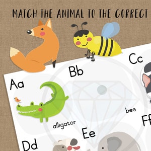 Alphabet Animals, Alphabet, Preschool Printables, Busy Binder ...