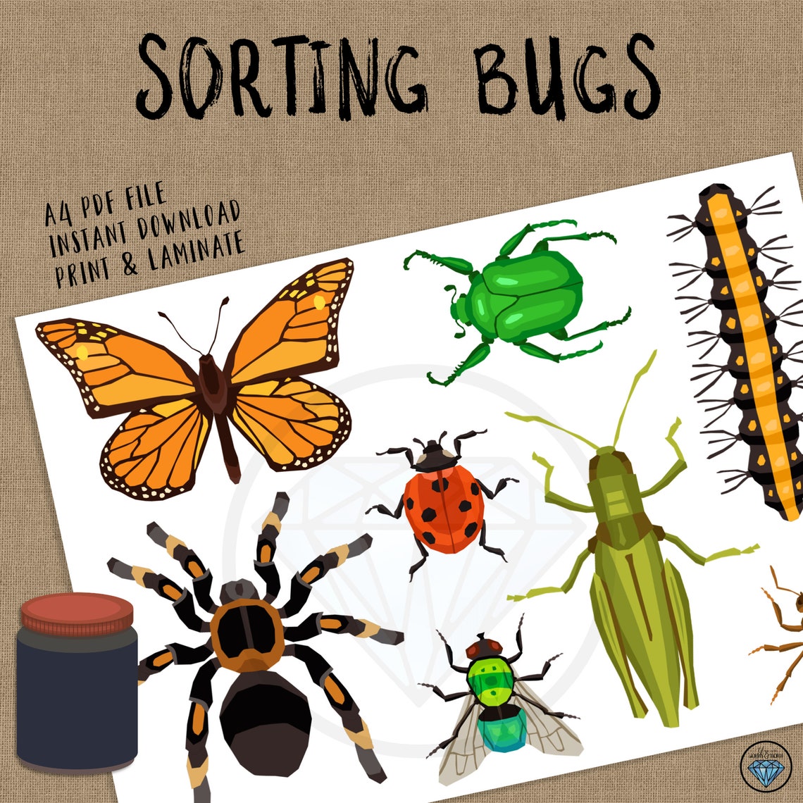Sorting Bugs Size Activity: Preschool Kindergarten Printable (PDF) - Etsy