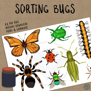 Sorting Bugs Size Activity: Preschool Kindergarten Printable (PDF) - Etsy