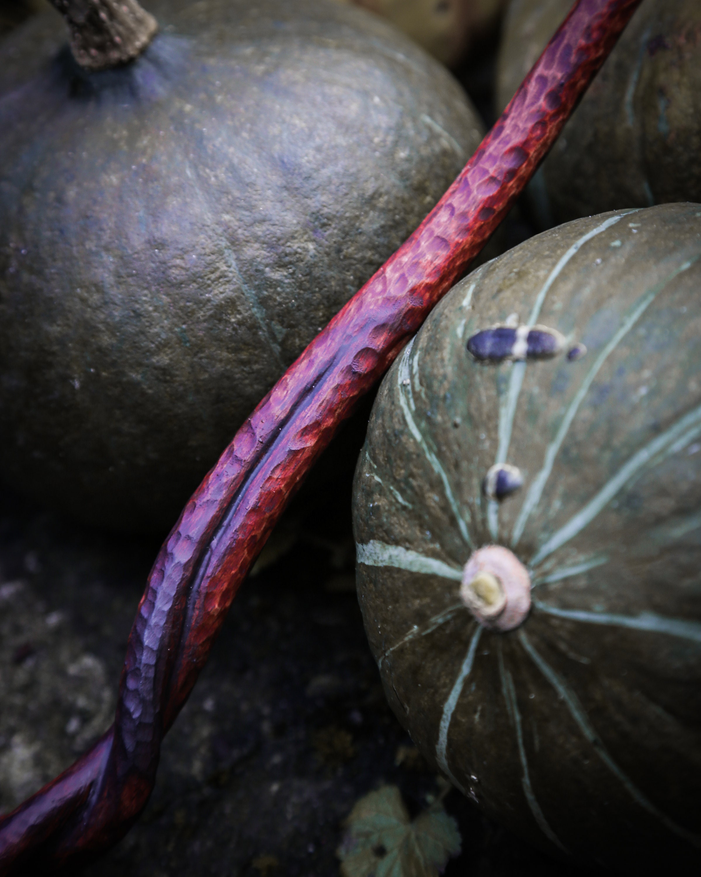 Handmade Wooden Wand, Beech Wood With Twisted Handle - Etsy