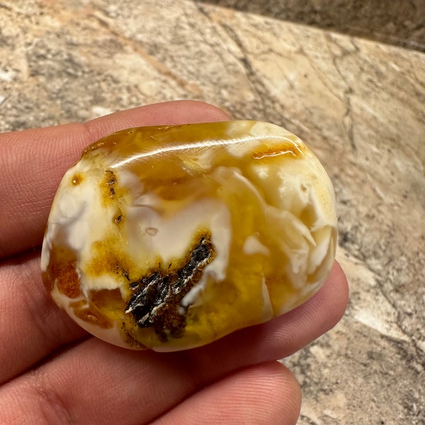 Butterscotch Amber - Etsy