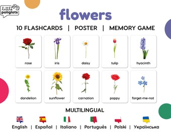 AUTUMN Montessori 3-part Cards Multilingual and With Realistic - Etsy