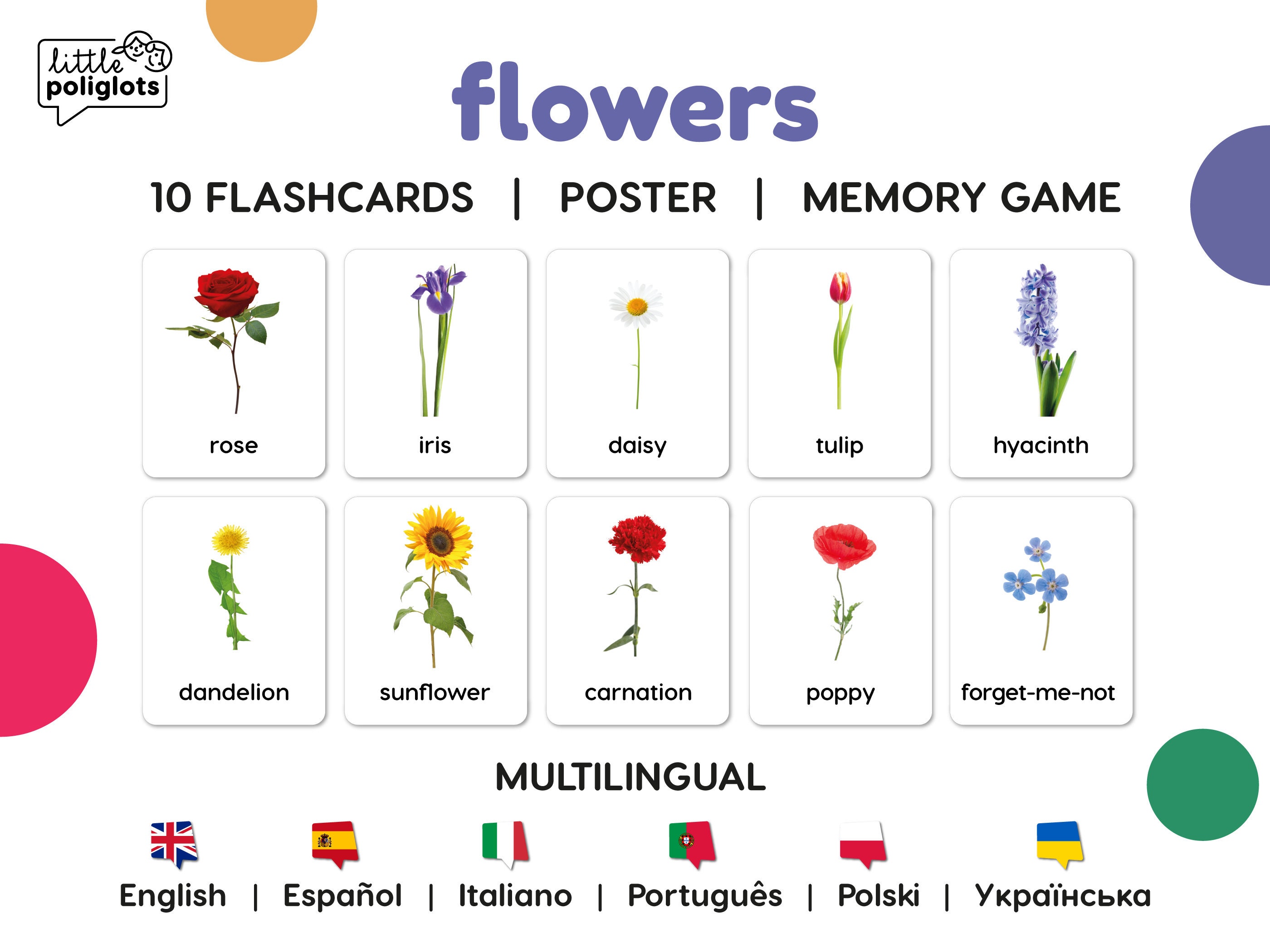 FLOWERS Montessori 3-part Cards Multilingual and With Realistic Photos ...