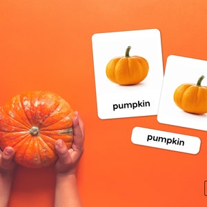 VEGETABLES Montessori 3-part Cards Multilingual and With Realistic ...