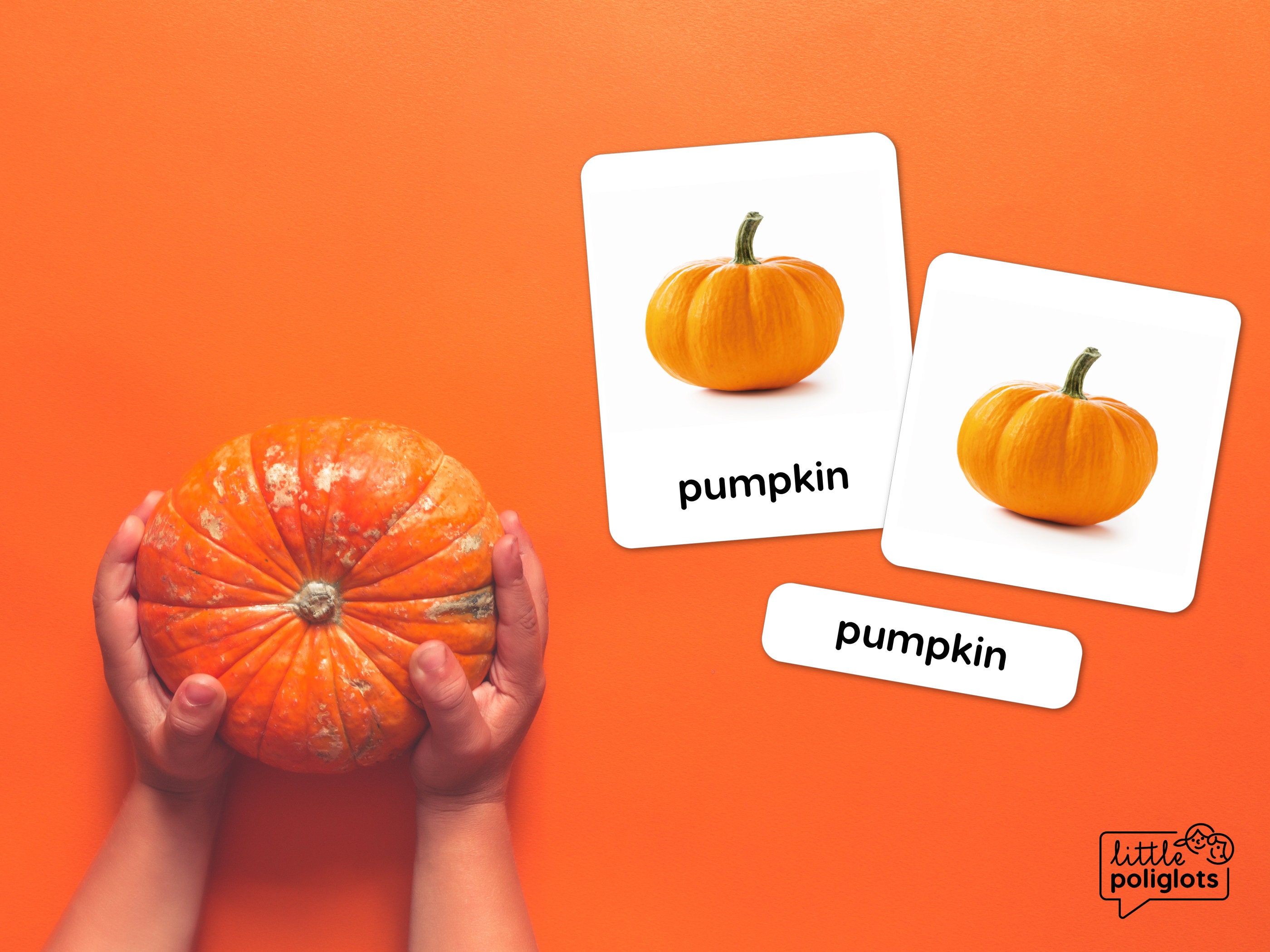 VEGETABLES Montessori 3-part Cards Multilingual and With Realistic ...