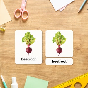 VEGETABLES Montessori 3-part Cards Multilingual and With Realistic ...