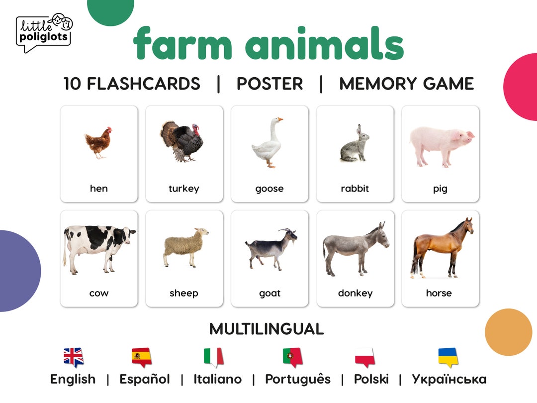FARM ANIMALS Montessori 3-part Cards Multilingual and With Realistic ...