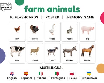 FRUITS Montessori 3-part Cards Multilingual and With Realistic Photos ...