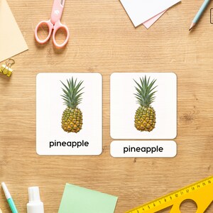 FRUITS Montessori 3-part Cards Multilingual and With Realistic Photos ...