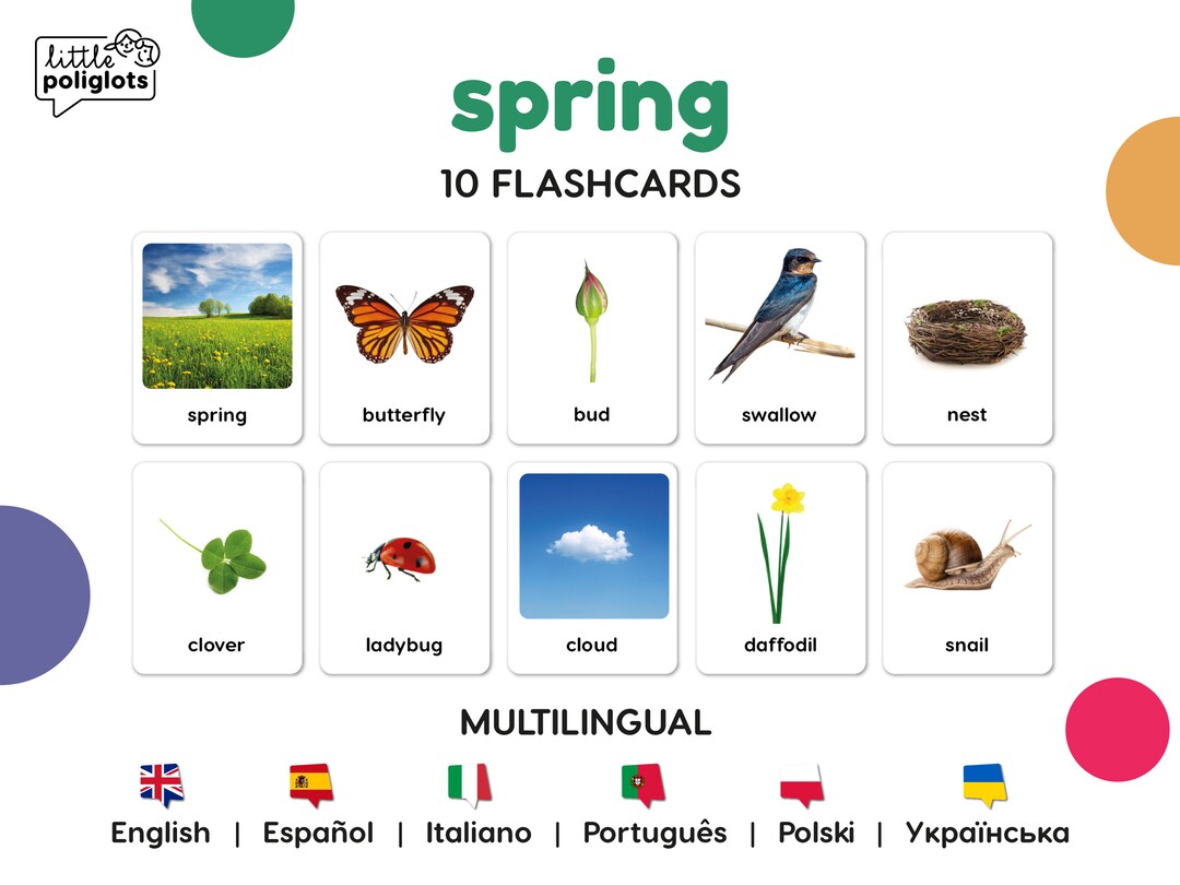 SPRING Montessori 3-part Cards Multilingual and With Realistic Photos ...