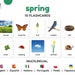 SPRING Montessori 3-part Cards Multilingual and With Realistic Photos ...