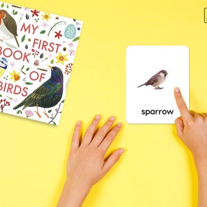 BIRDS Montessori 3-part Cards Multilingual and With Realistic Photos ...