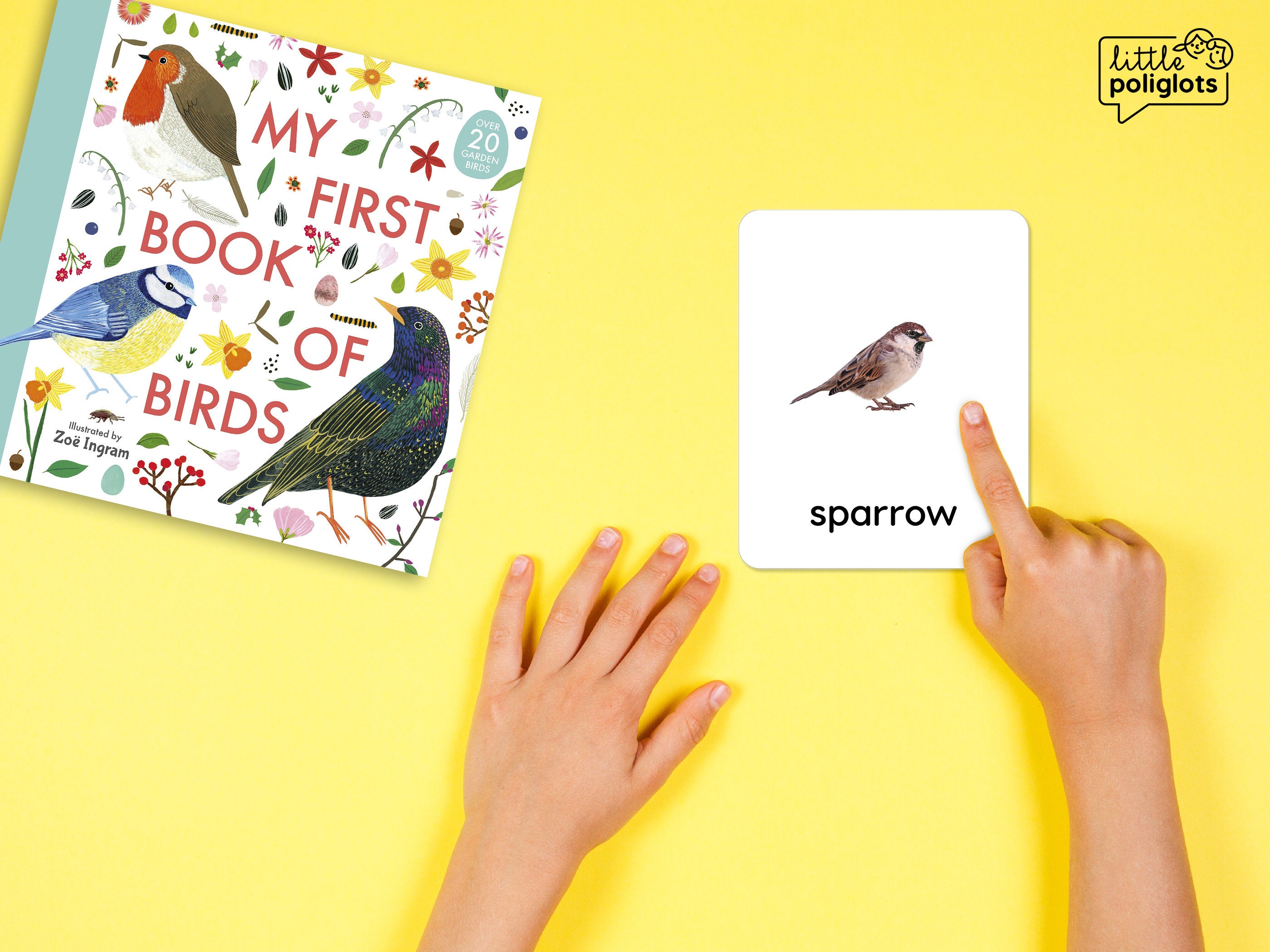 BIRDS Montessori 3-part Cards Multilingual and With Realistic Photos ...