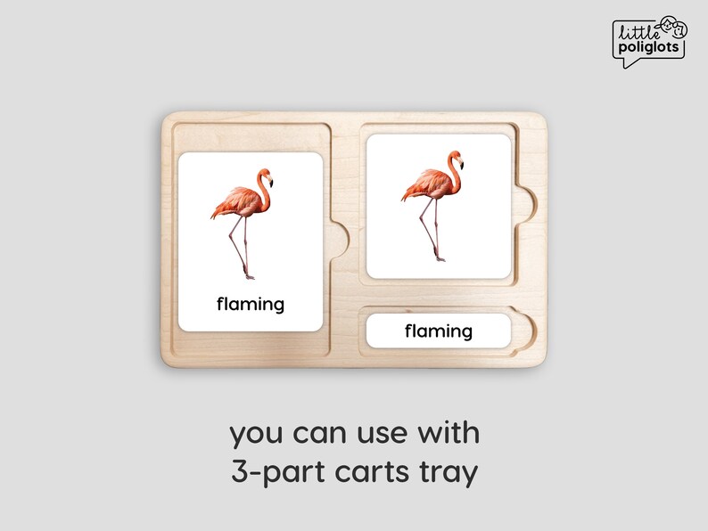 BIRDS Montessori 3-part Cards Multilingual and With Realistic Photos ...