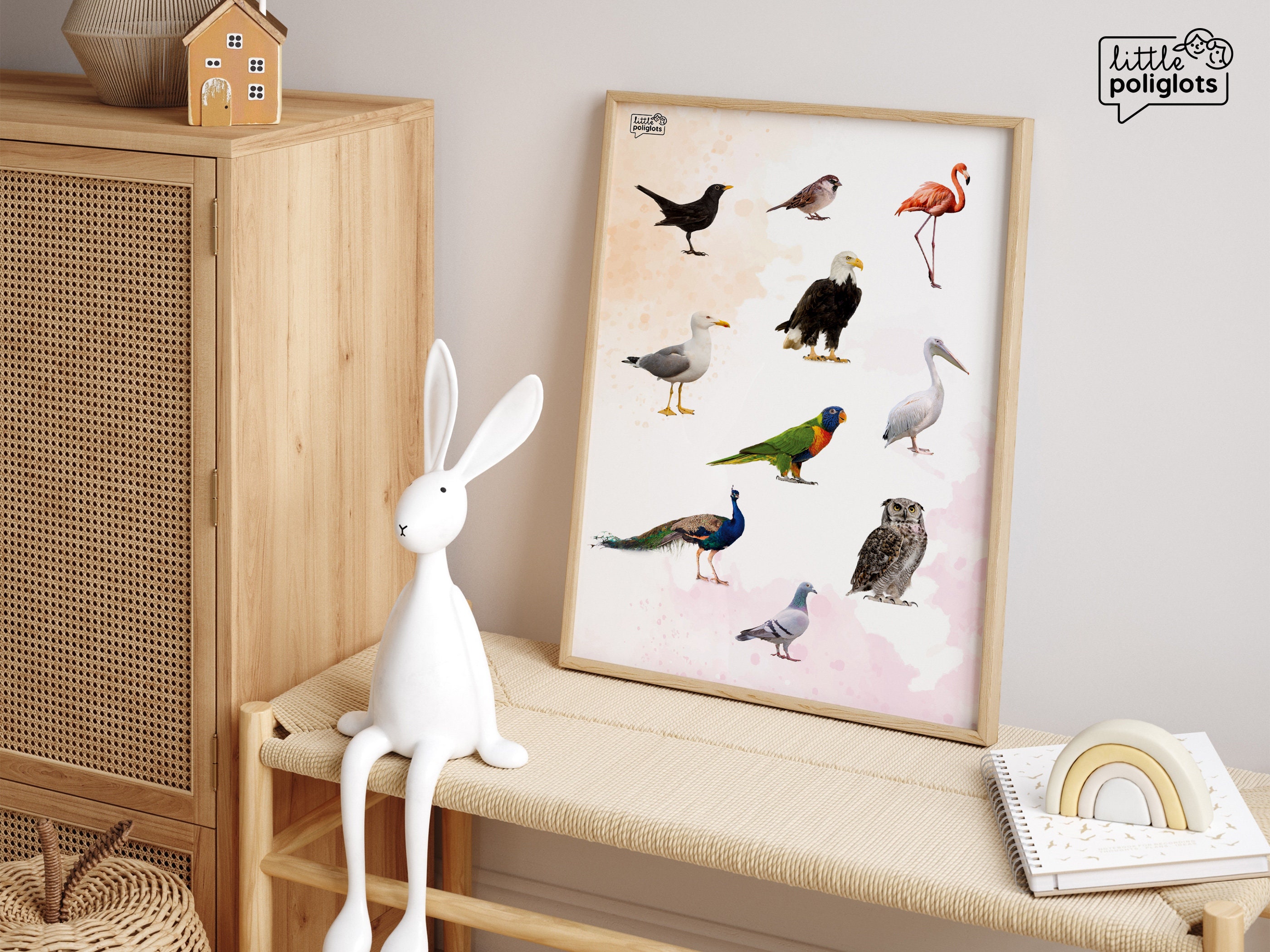 BIRDS Montessori 3-part Cards Multilingual and With Realistic Photos ...