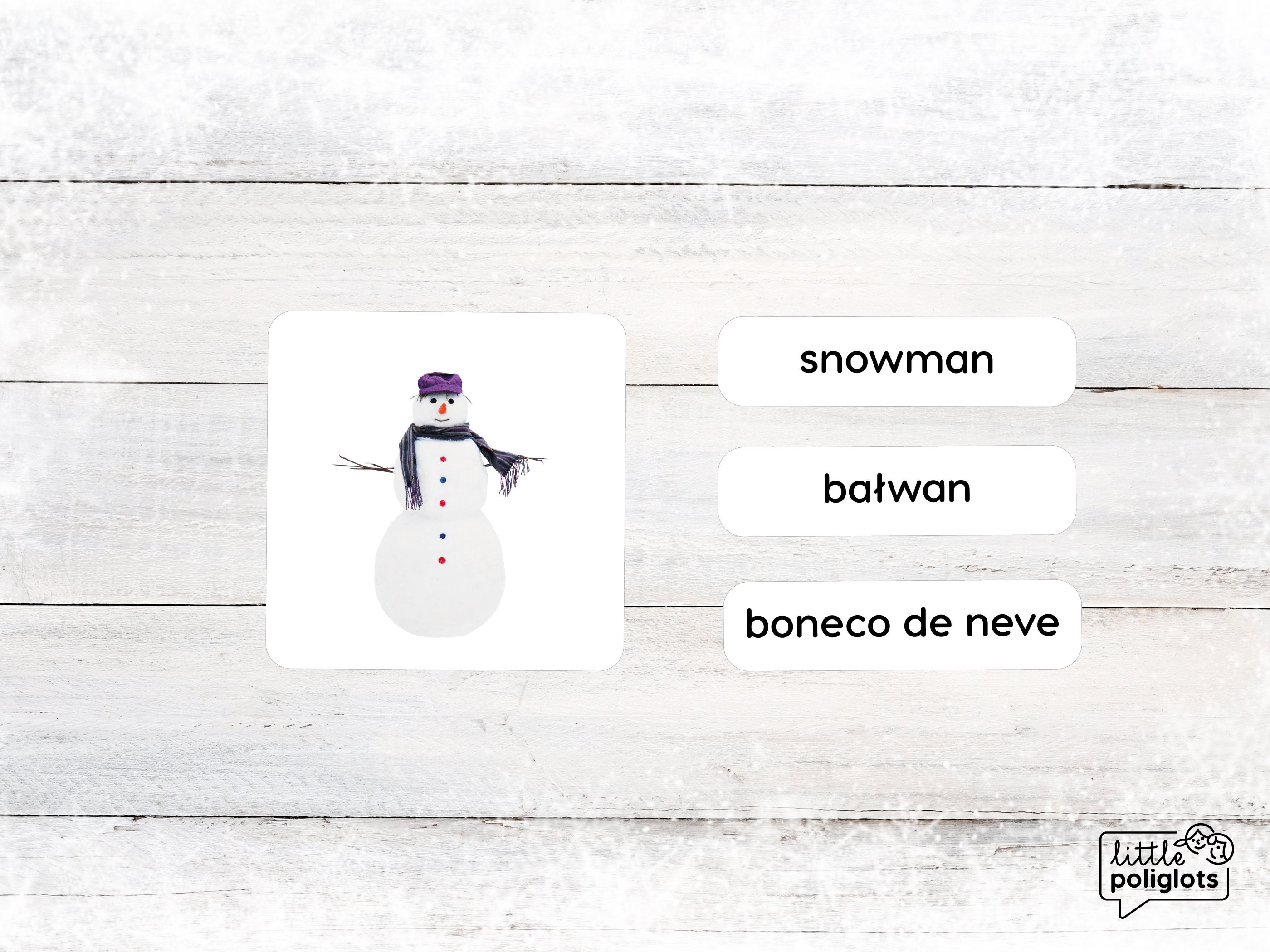 WINTER Montessori 3-part Cards Multilingual and With Realistic Photos ...