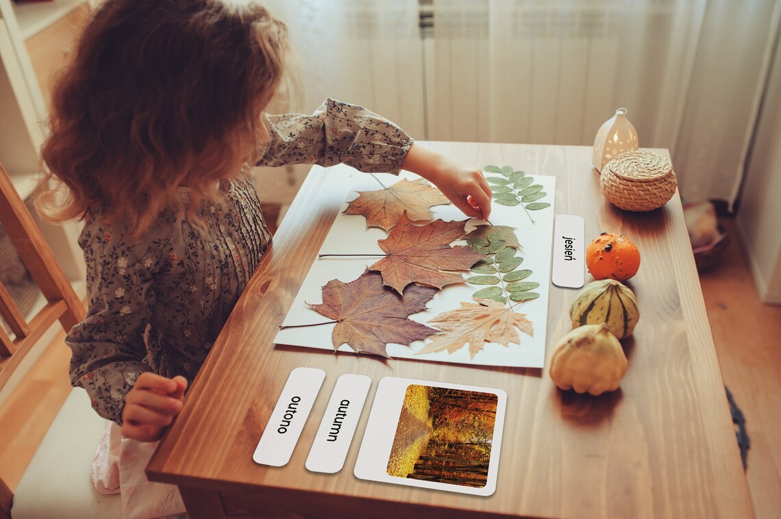 AUTUMN Montessori 3-part Cards Multilingual and With Realistic Photos ...