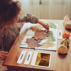 AUTUMN Montessori 3-part Cards Multilingual and With Realistic Photos ...