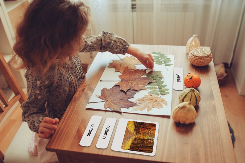 AUTUMN Montessori 3-part Cards Multilingual and With Realistic Photos ...