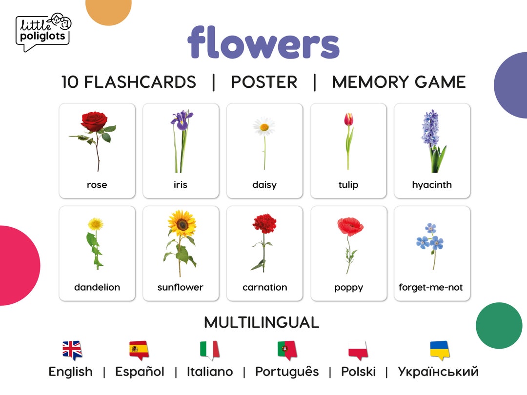 FLOWERS Montessori 3-part Cards Multilingual and With - Etsy