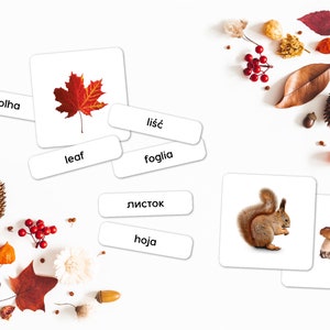 AUTUMN Montessori 3-part Cards Multilingual and With Realistic Photos ...